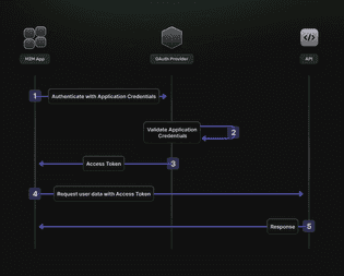 What is OAuth and It's Importance in a Secure Web